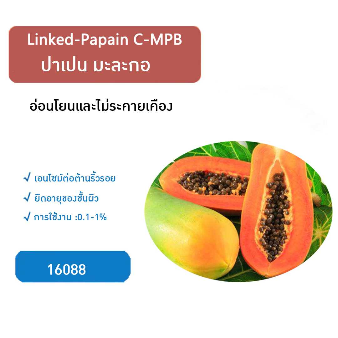 16094 TT Linked-papain C-MPB เอนไซม์ต่อต้านริ้วรอย | ปัญญาเคมีภัณฑ์ PYCM จำหน่ายเคมี